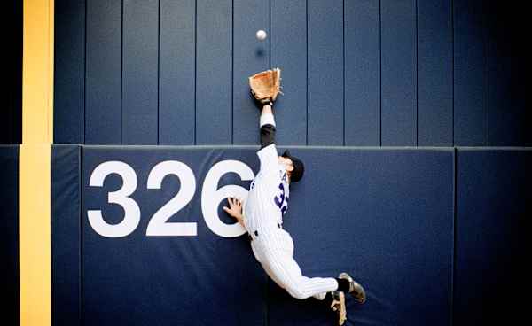 Dallas College Richland Thunderducks Baseball Tickets | Buy or Sell ...