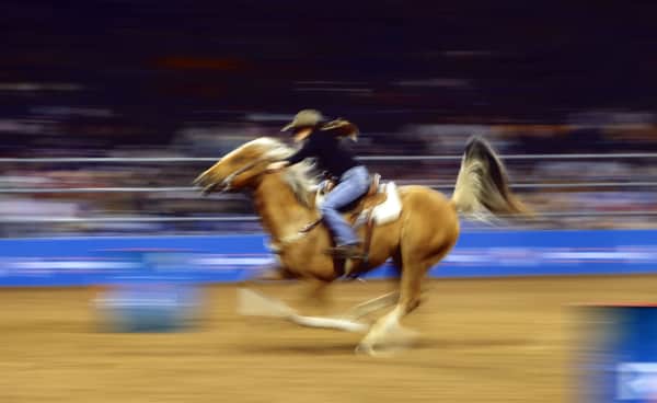 Houston Livestock Show and Rodeo Tickets | Buy or Sell Houston ...