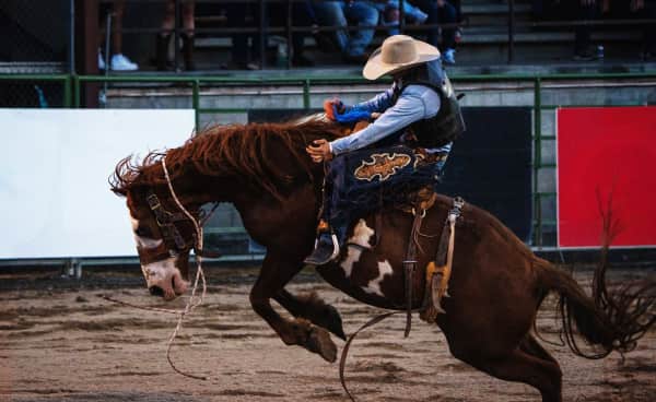 Jackson Hole Rodeo Tickets | Buy or Sell Jackson Hole Rodeo 2024 ...