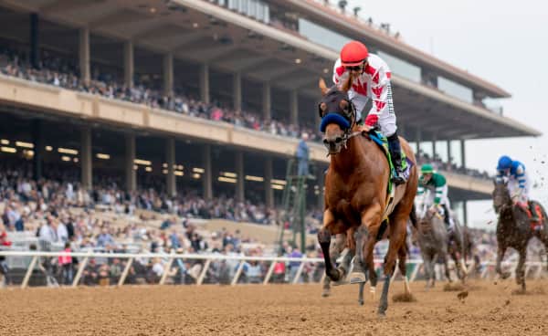 Del Mar Racing Tickets | Buy or Sell Del Mar Racing Tickets - viagogo