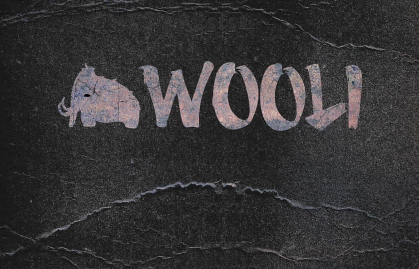 Wooli Tickets | Wooli Tour Dates and Concert Tickets - viagogo