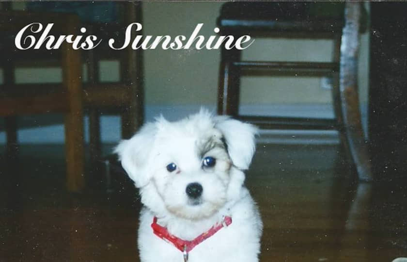 Fear Not Ourselves Alone, Chris Sunshine, Sunbear, Apolojeesus ...