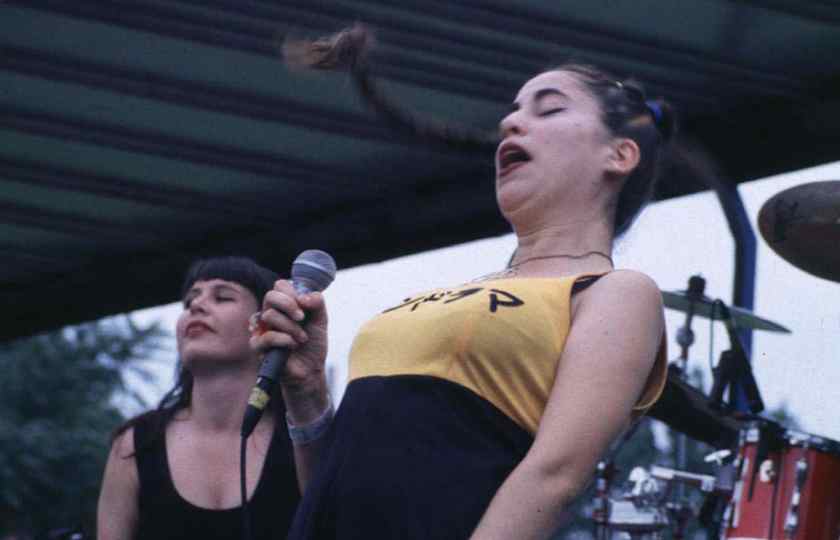 Entradas Riot Fest with Weezer, Green Day and many more - 2 Day Pass ...