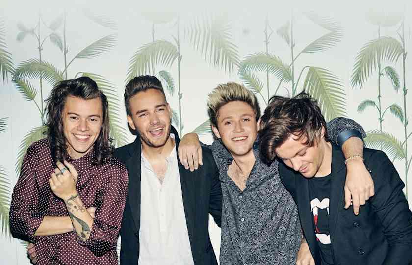 One Direction Tickets | 1D On The Road Again Tour - viagogo