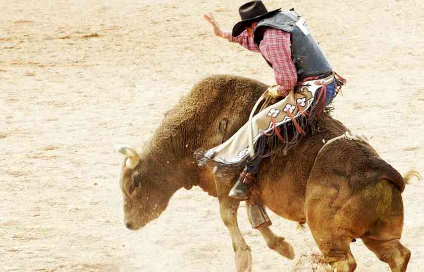 PBR: Unleash The Beast - 3 Day Pass (Mar 21-23, 2025) Acrisure Arena at ...