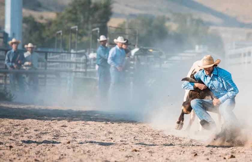 Billets PARKING PASSES ONLY PBR World Finals - 3 Day Pass (May 16-18 ...
