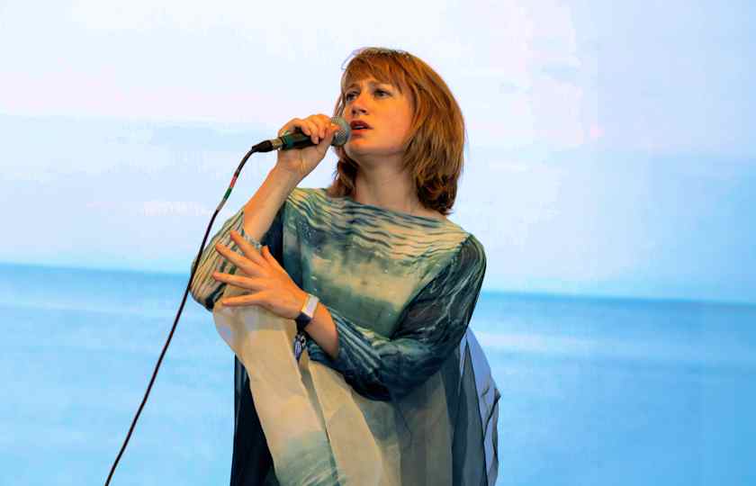 PARKING PASSES ONLY Ray Lamontagne Gerald Ford Amphitheatre Parking ...