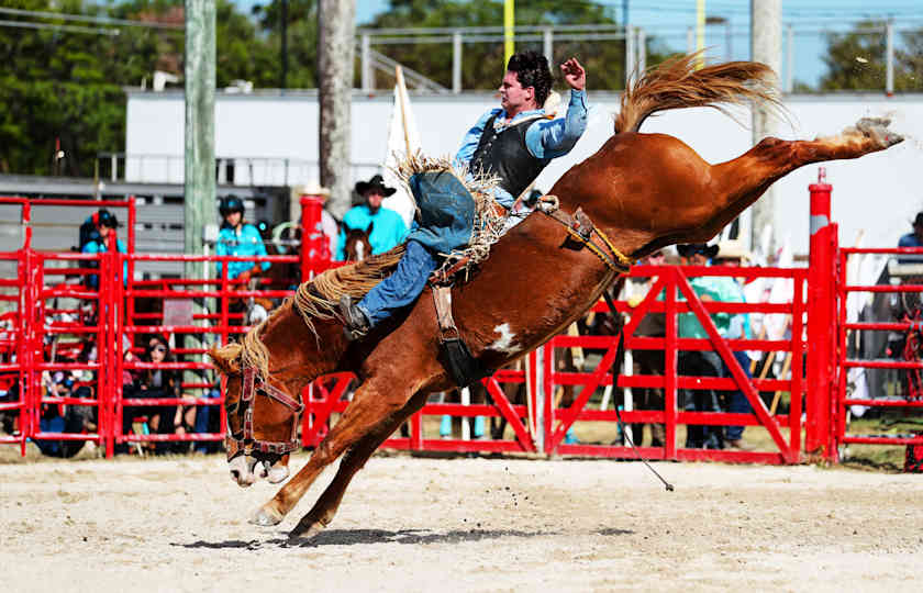 Pro Rodeo Tickets | Buy or Sell Pro Rodeo Tickets - viagogo