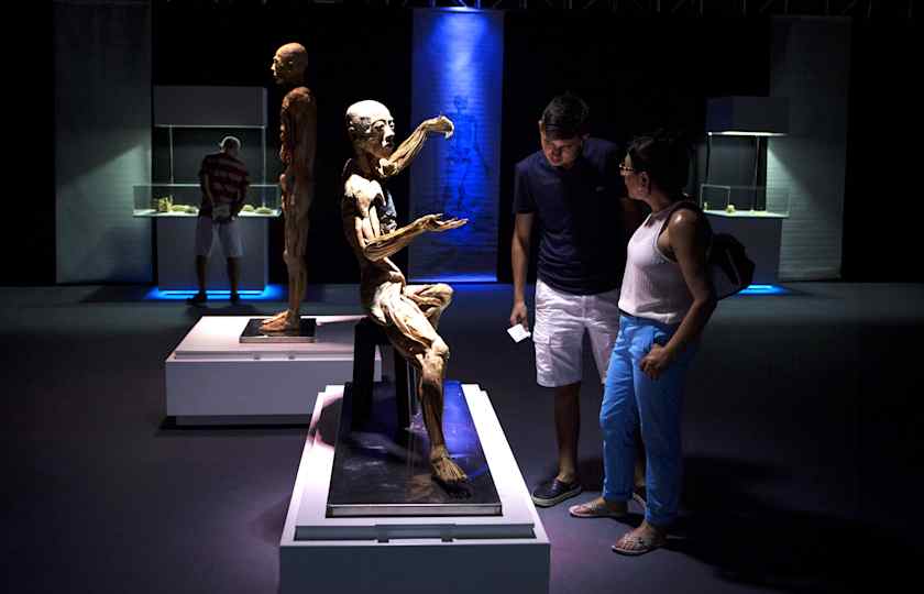 Bodies: The Exhibition Bodies: The Exhibition at Luxor Las Vegas ...