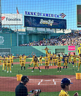 Savannah Bananas Tickets - StubHub
